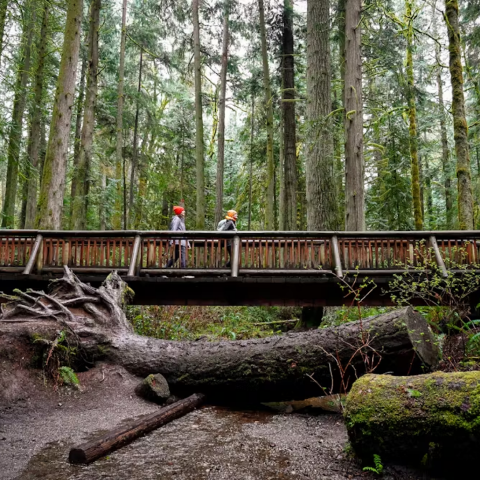 Kitsap Peninsula: Your Basecamp for a Pacific Northwest Adventure ...